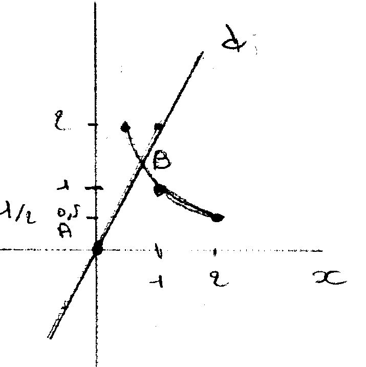 hyperbole : exercice de mathématiques de seconde - 132358