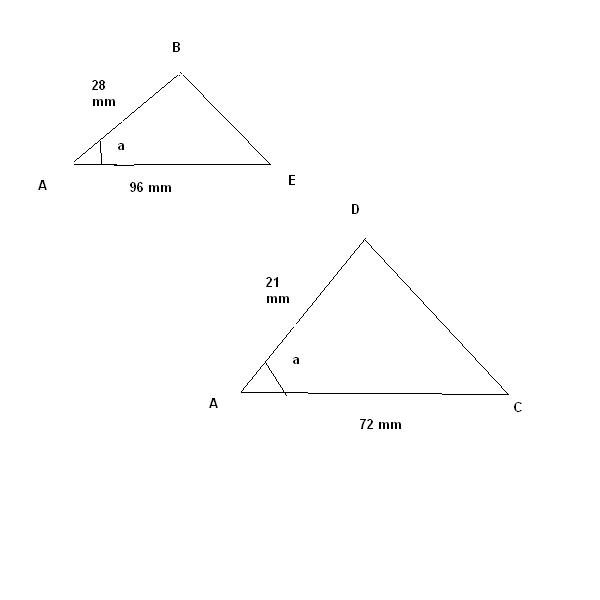 DM sur les triangles semblables : exercice de mathématiques de seconde ...