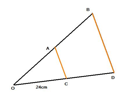 DM de math sur théorème de Thalès, exercice de triangles et parallèles - 347924