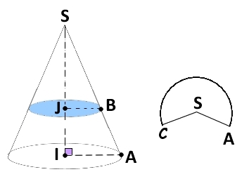 Section des solides: cône de révolution : exercice de mathématiques de ...