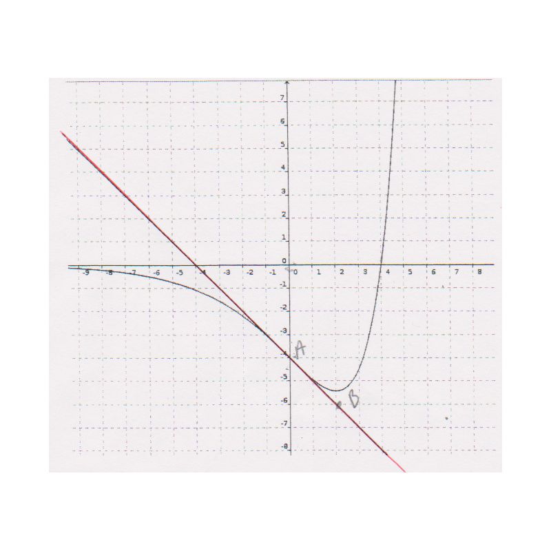 DM TES fonctions/dérivés/primitives : exercice de mathématiques de ...