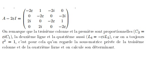 rang d'une matrice : exercice de mathématiques de Master - 557278