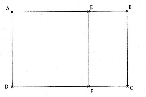 le rectangle d'or 1ère, exercice de fonctions polynôme - 633889